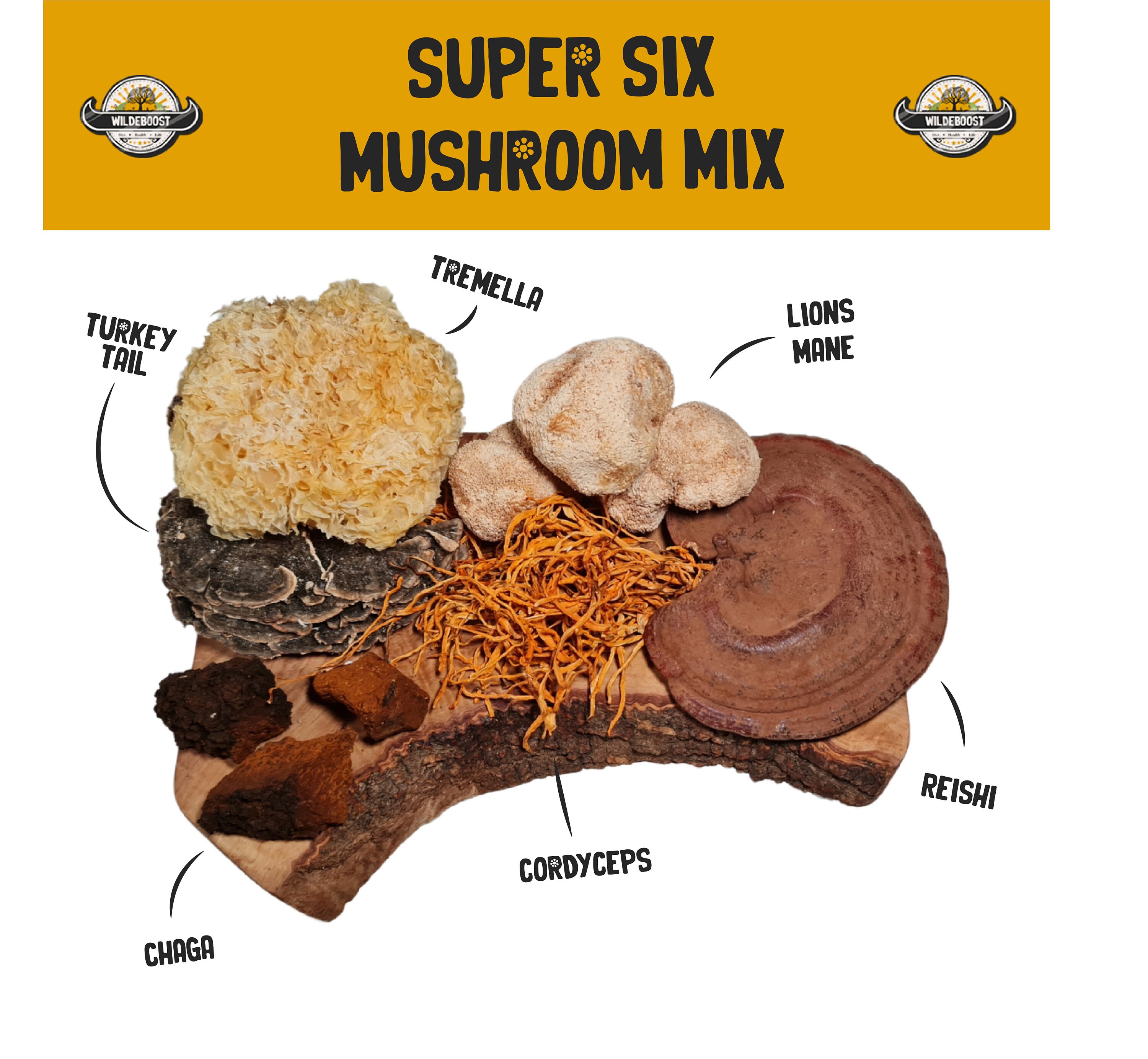 Super Six Mushroom Mix 6 Best Medicinal Mushrooms Organic Fungi Combo Cordyceps, Chaga, Reishi ...