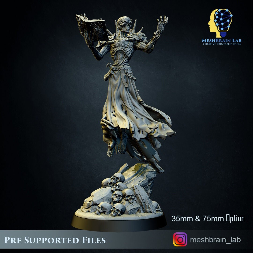 3d Printed Lich Lord by Meshbrain Labs - Etsy