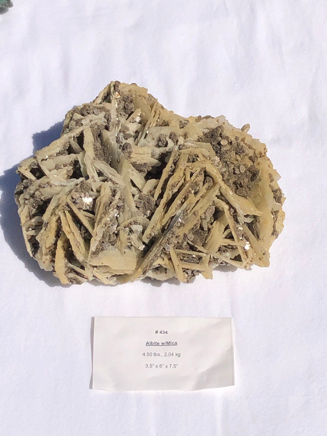 Albite With Mica Specimen - Etsy