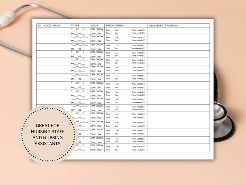 Nurse Report Sheet, 16 Patient Brain Sheet, LTC Nurse Documentation ...