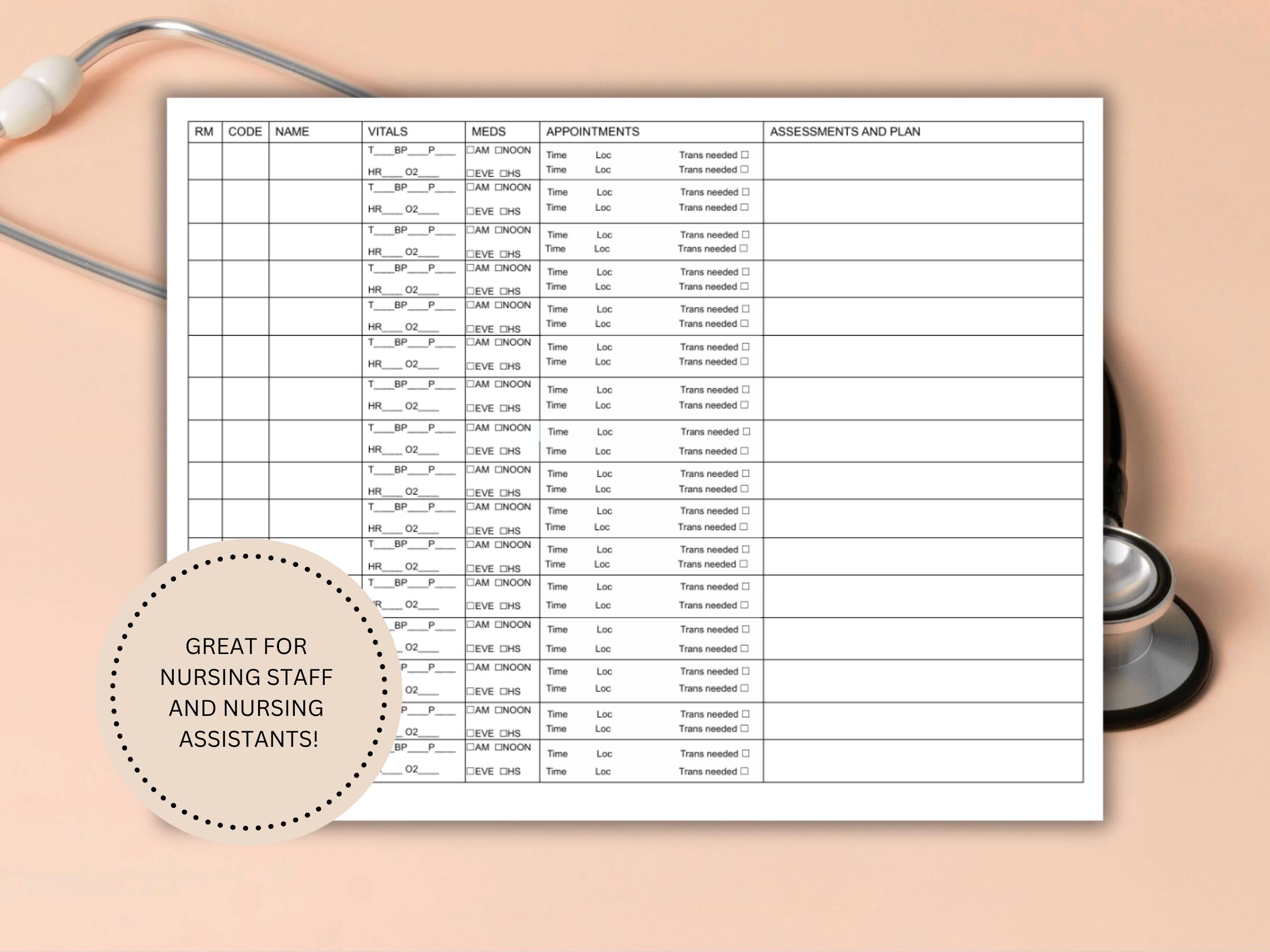Nurse Report Sheet, 16 Patient Brain Sheet, LTC Nurse Documentation ...