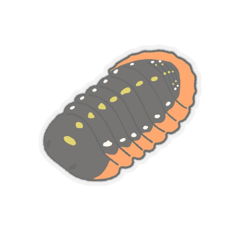 Isopod Sticker, Gift for Isopod Lovers, Laptop Decor, Bug Enthusiast - Etsy