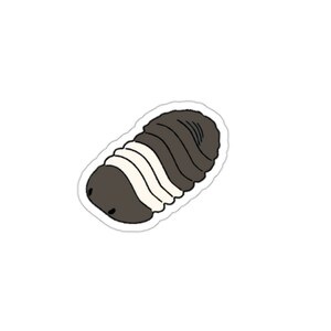 Cute Isopod Sticker, Gift for Isopod Lovers, Insect Lovers Gift, Rubber ...