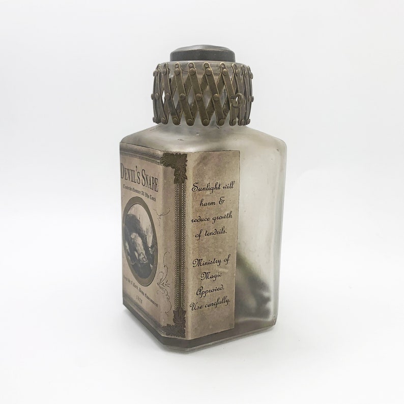 Devil’s Snare Magic Potion Apothecary Herbology Glass Bottle Prop - Etsy