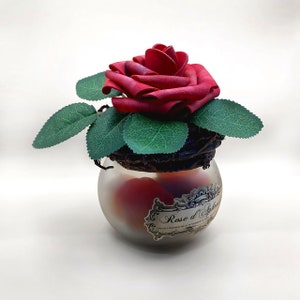 Rose D’aphrodite Love Potion Magic Apothecary Herbology Glass Bottle ...