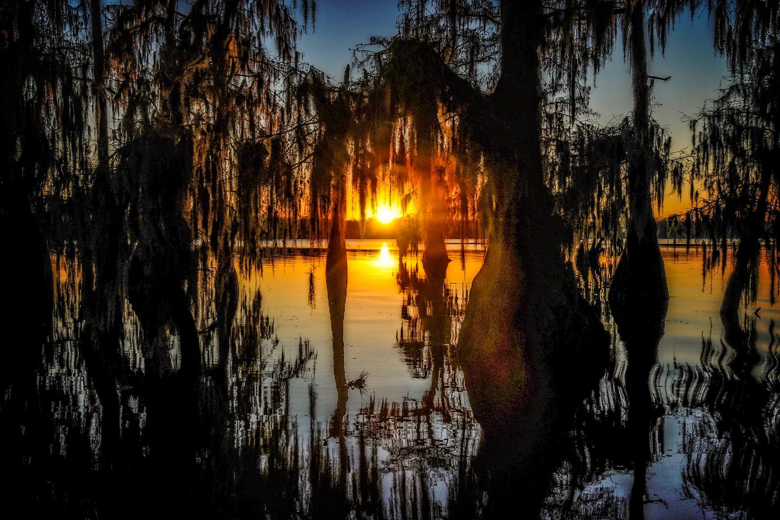 Louisiana Swamp Sunset Canvas Print, Henderson Louisiana, Wall Decore ...