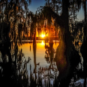 Louisiana Swamp Sunset Canvas Print, Henderson Louisiana, Wall Decore ...