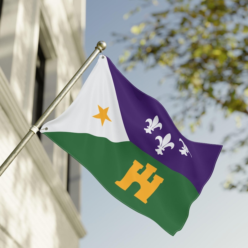 Mardi Gras Flag for House - Etsy