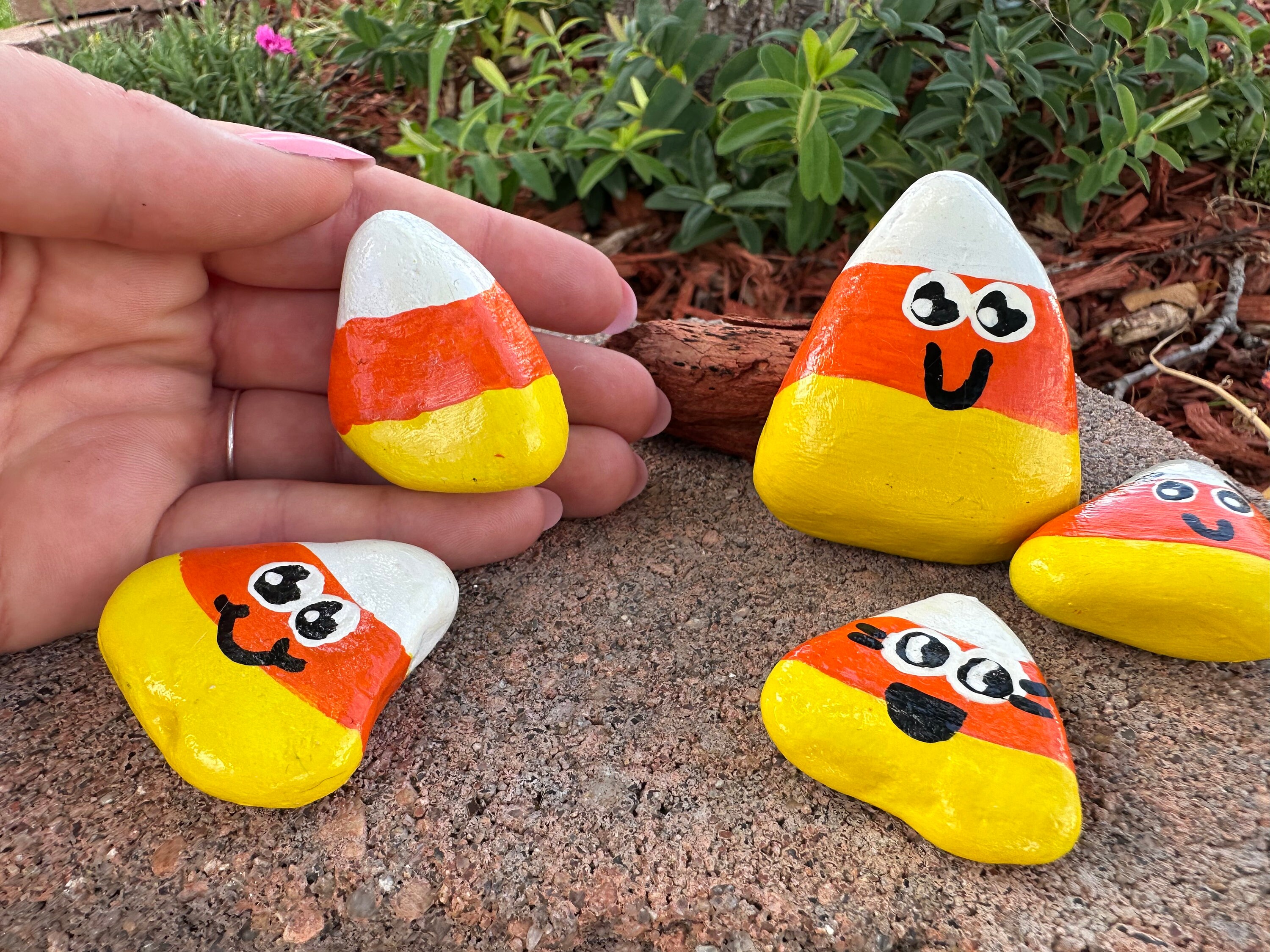 Candy Corn Pet Rock - Etsy
