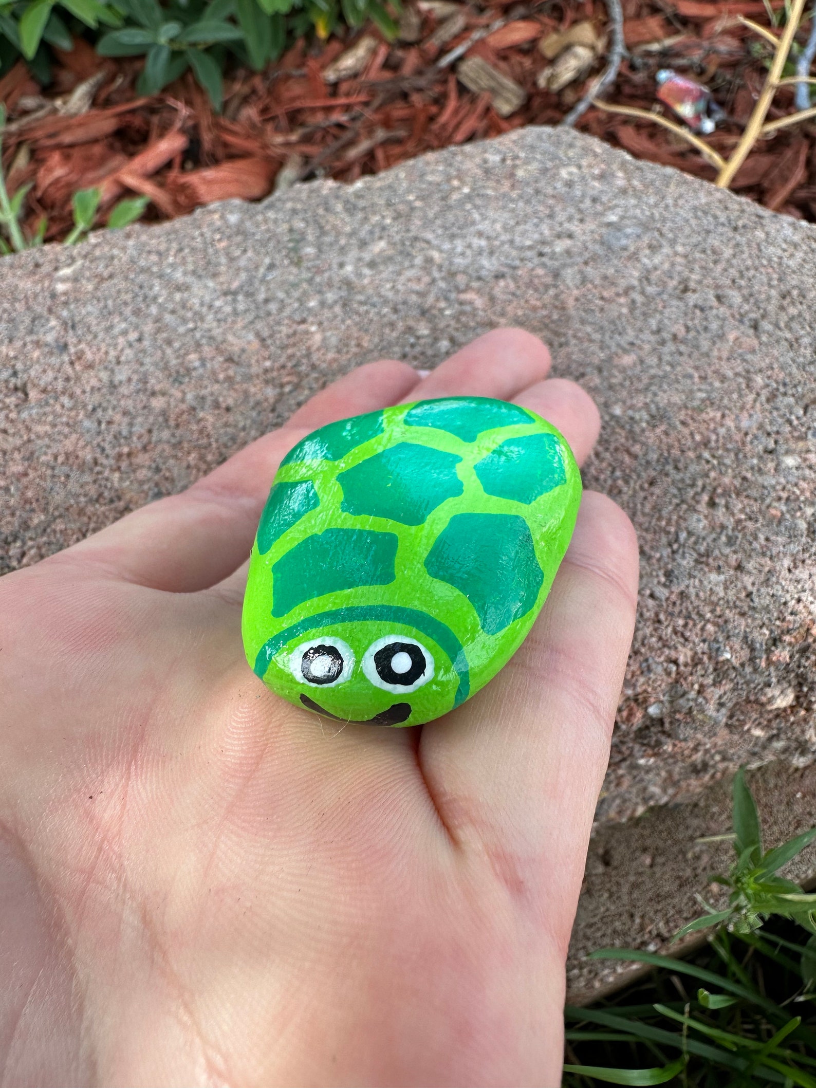 Turtle Pet Rock - Etsy