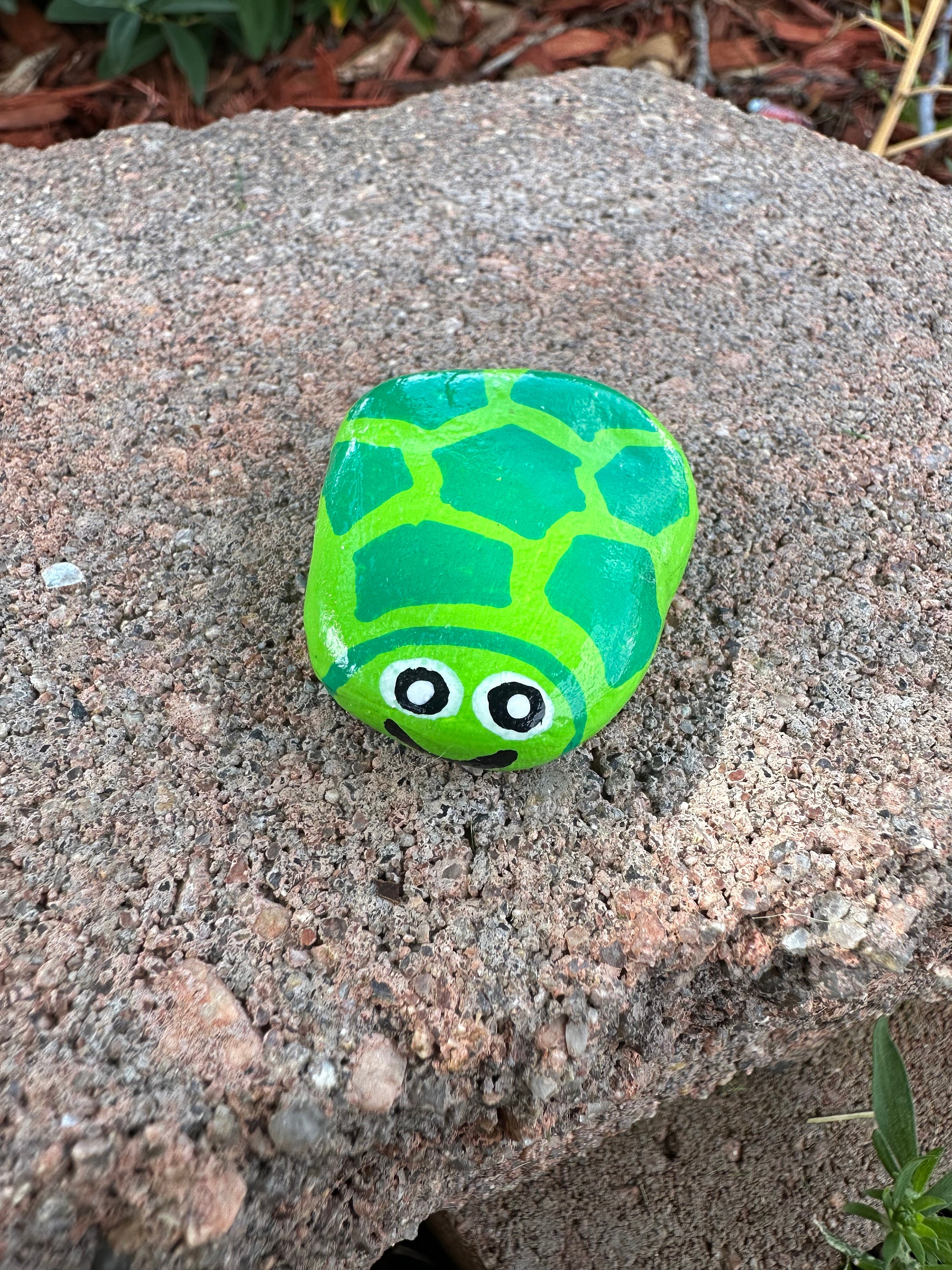 Turtle Pet Rock - Etsy