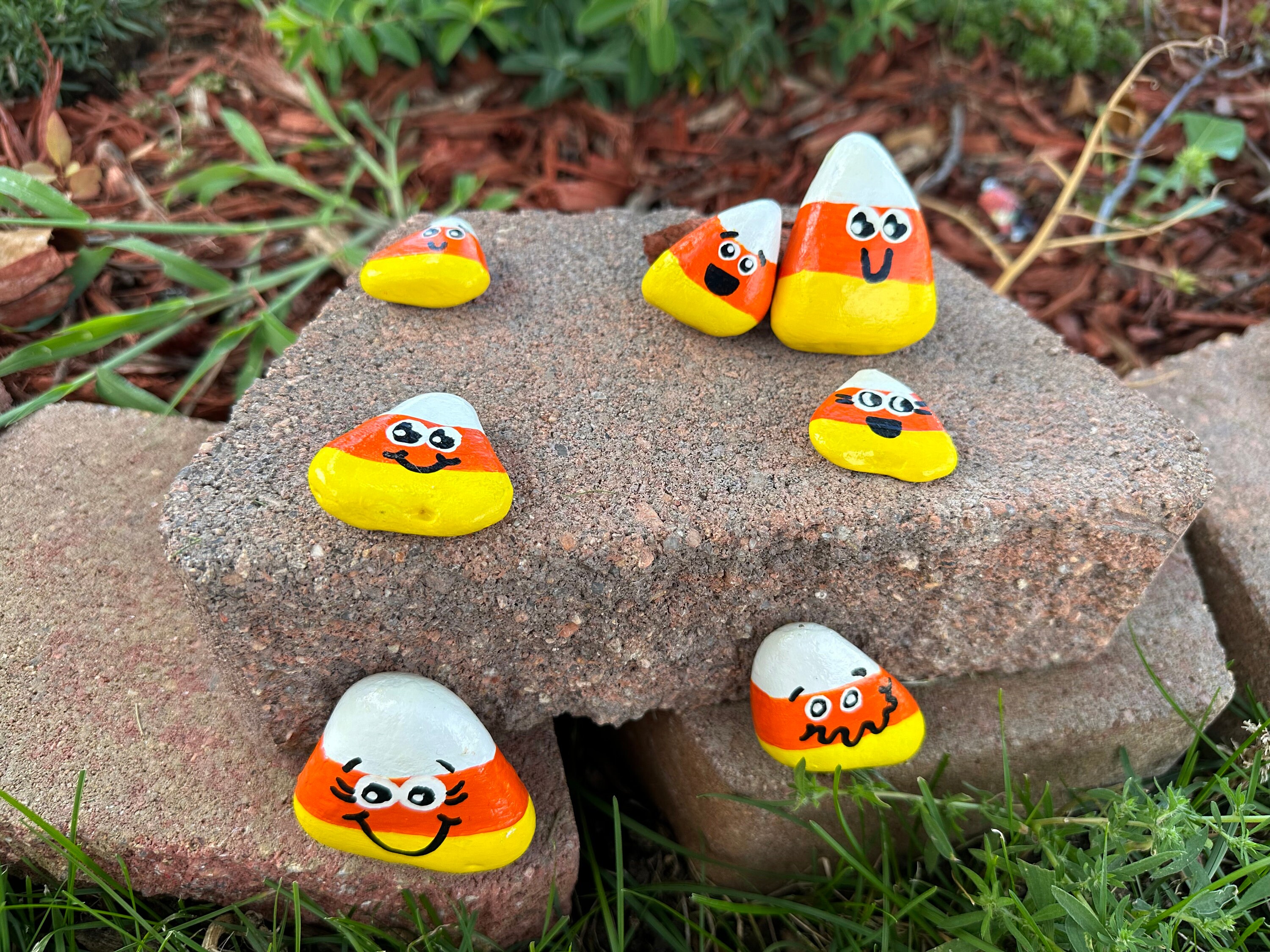 Candy Corn Pet Rock - Etsy