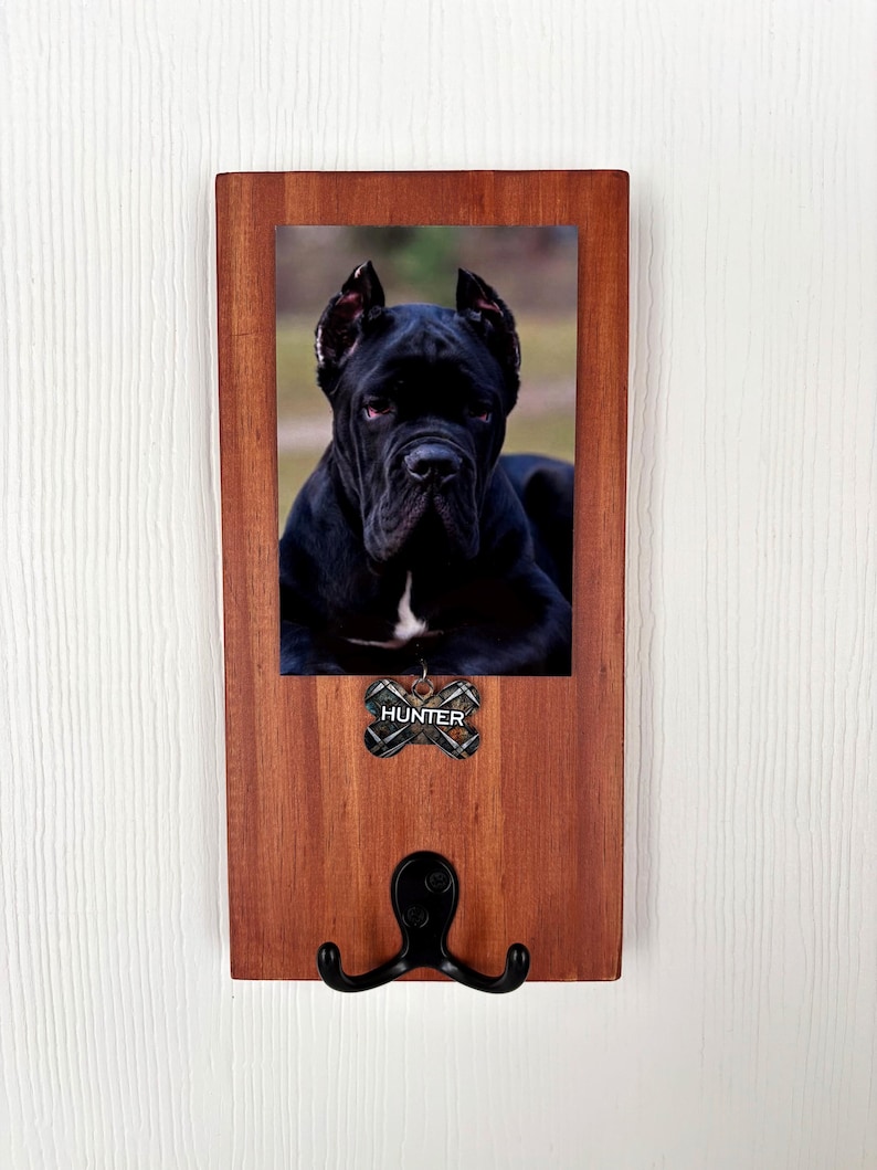 Personalized Dog Key Holder, Dog Leash Holder With Pet's Name, Pet ...