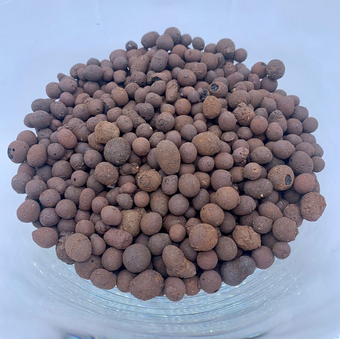LECA Balls Lightweight Expanded Clay Aggregate Semi-hydro Soil ...