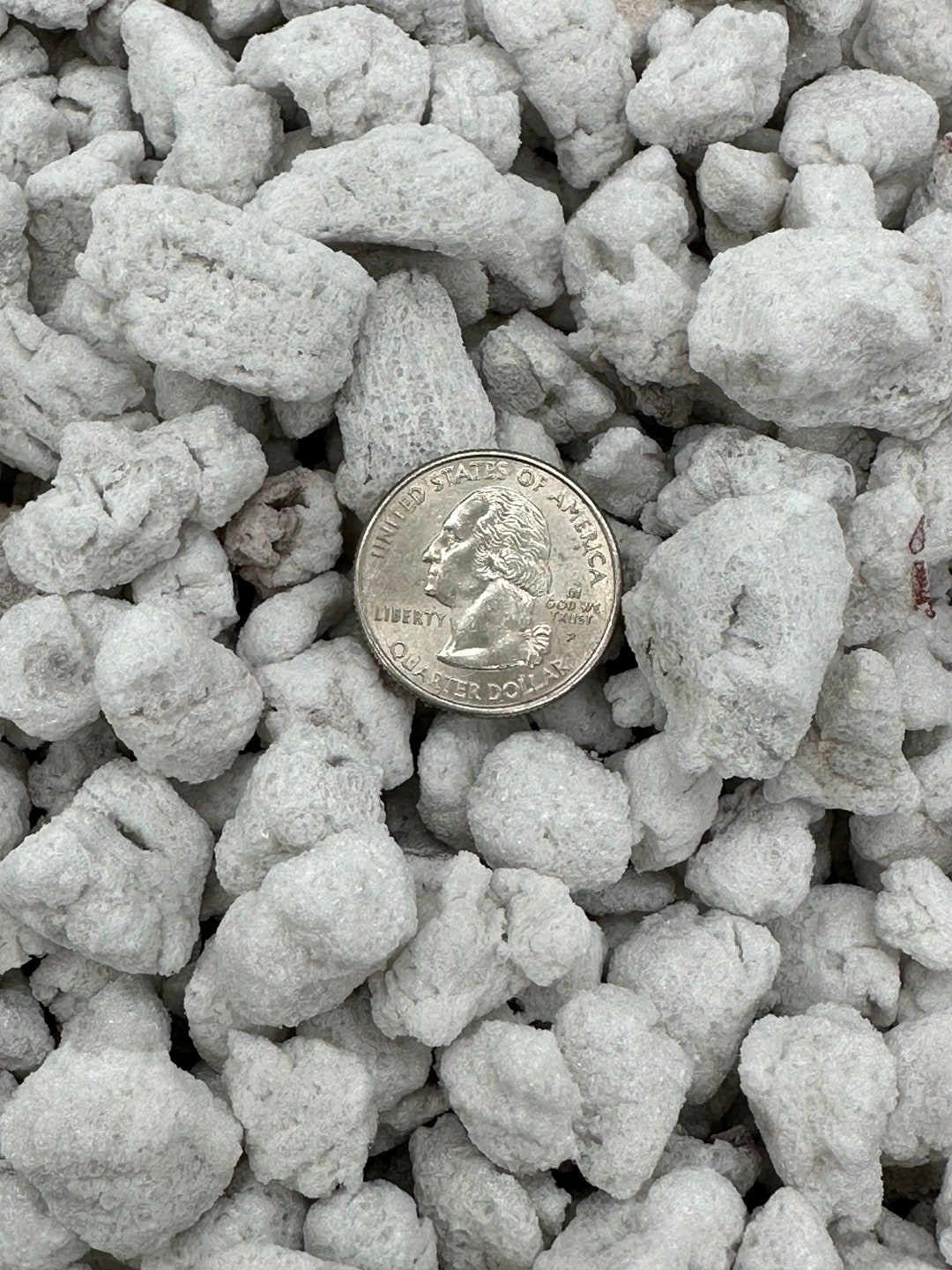 Super Coarse & Chunky Perlite Size 4 Large Pieces Adds - Etsy