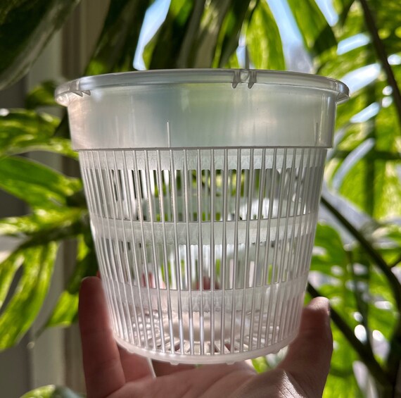 Clear Slotted Net Pot Sturdy Heavy Duty High Quality Drainage Orchid Pot Healthy Roots 4 Inch 5 Inch Soil or Semi hydro Etsy UK