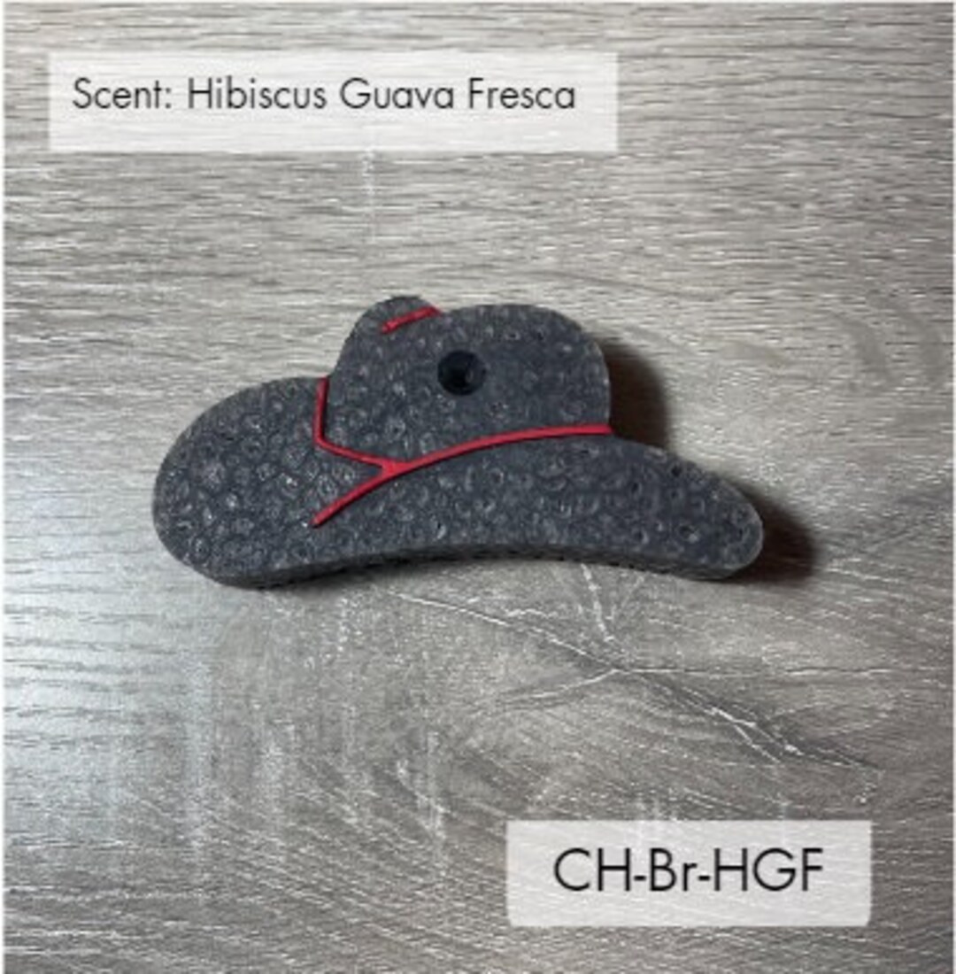 Cowboy Hat Freshie - Etsy