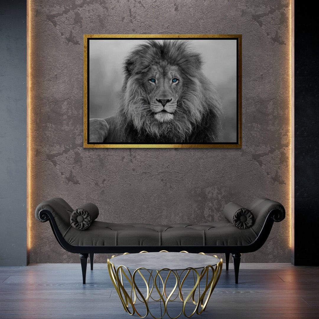 Blue Eyed Lion Framed Canvas, Lion Photo Wall Art, Animal Canvas, Wild ...