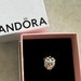Pandora Life Saver Silver 925 & 14k Gold Charm - Etsy