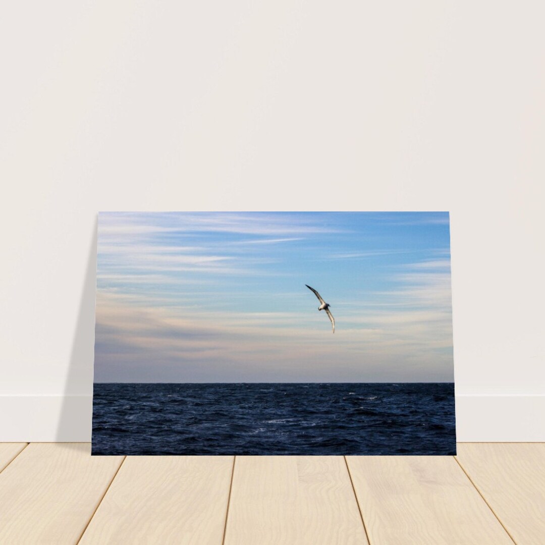 Albatross Over the Ocean - Ocean Landscape Fine Art, Wildlife ...