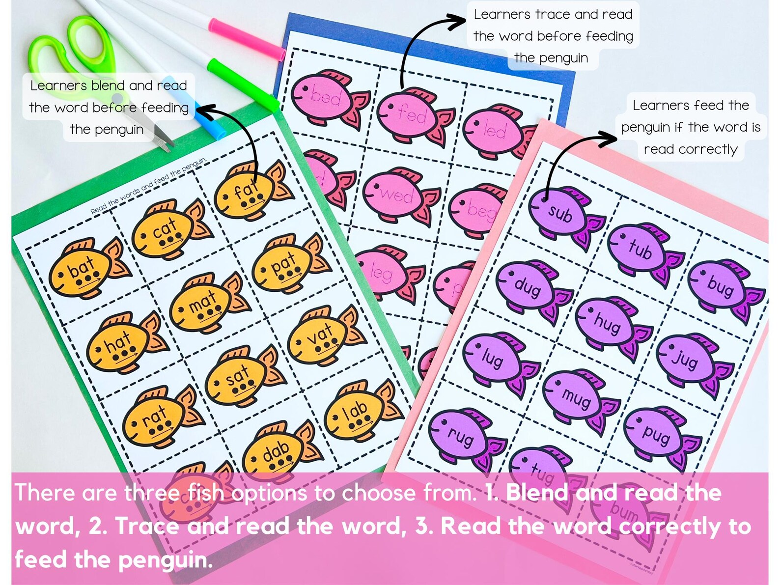 Winter CVC Words | Feed the Penguin CVC Words Kindergarten Activity ...