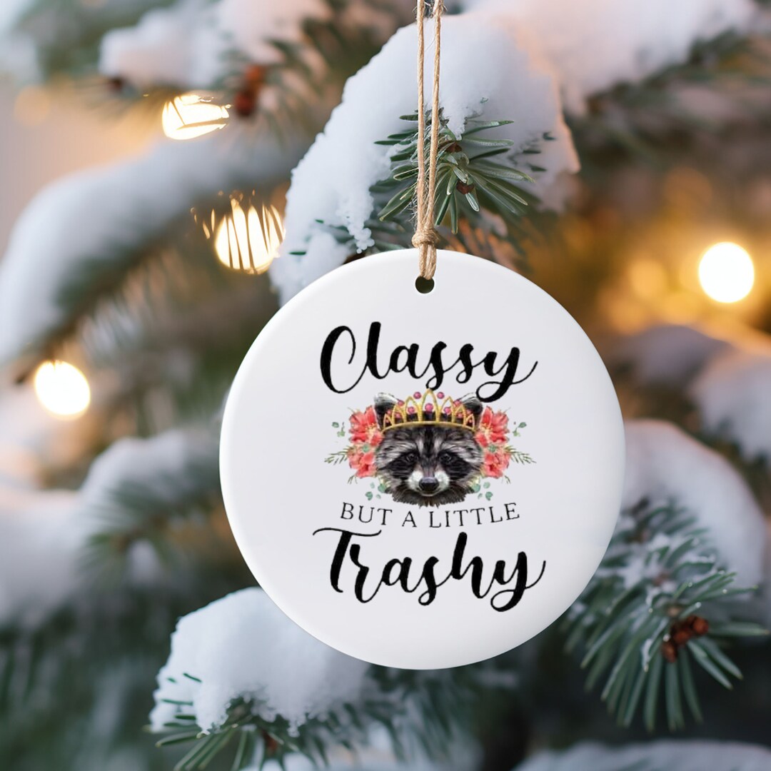 Classy but Trashy Trash Panda Racoon Ornament 3" Round. - Etsy