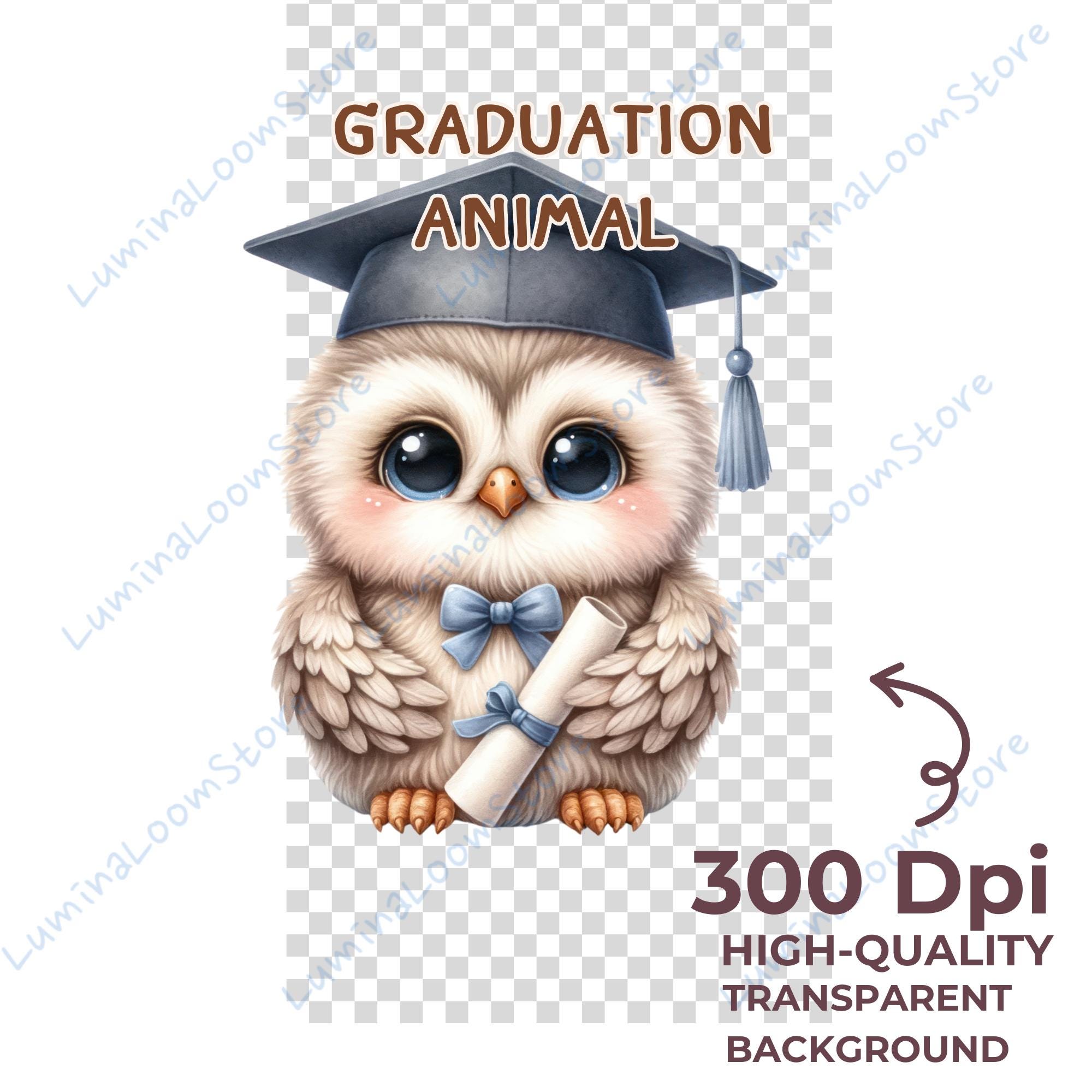 Graduation Animal Clipart Bundle | Watercolor PNG | Cute Animal ...
