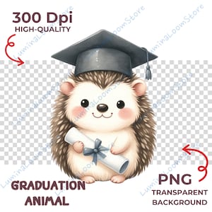 Graduation Animal Clipart Bundle | Watercolor PNG | Cute Animal ...