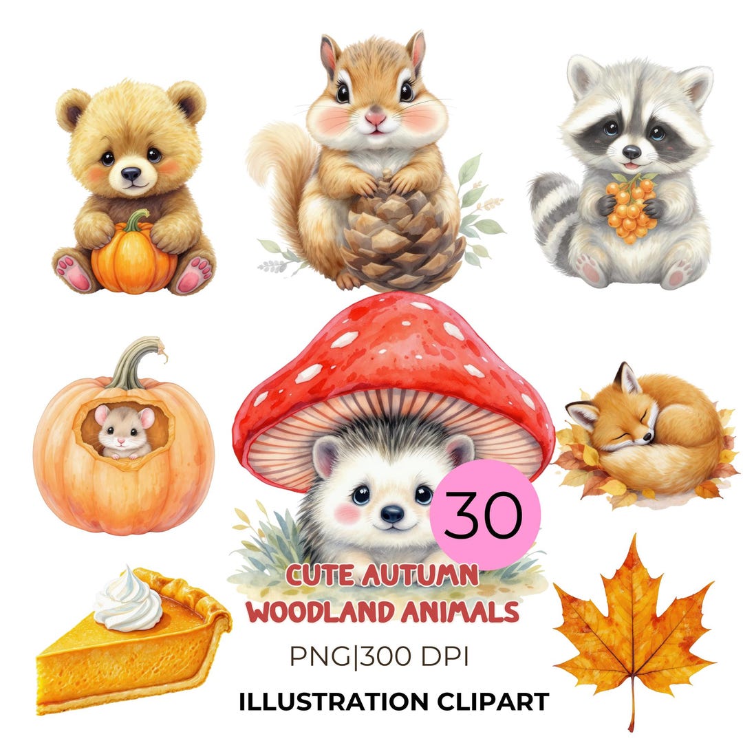 Autumn Woodland Animal Clipart: Fall Bear, Fox, Raccoon PNG (digital ...