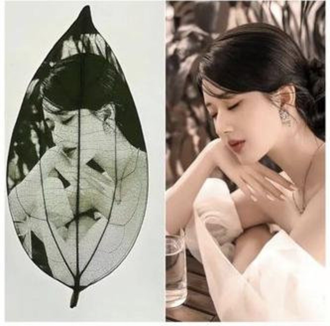 Customized Leaf Carving Photos Art, Pressed Flower, Personalized Leaf ...