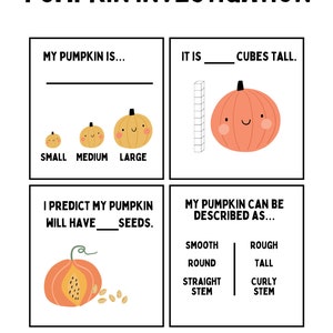 Pumpkin Unit Study: Science, Life Cycle, Labeling, Cutting & Pasting ...