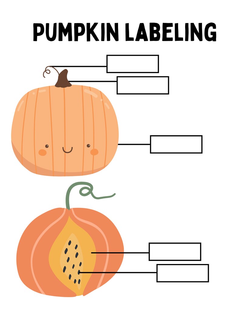 Pumpkin Unit Study: Science, Life Cycle, Labeling, Cutting & Pasting ...
