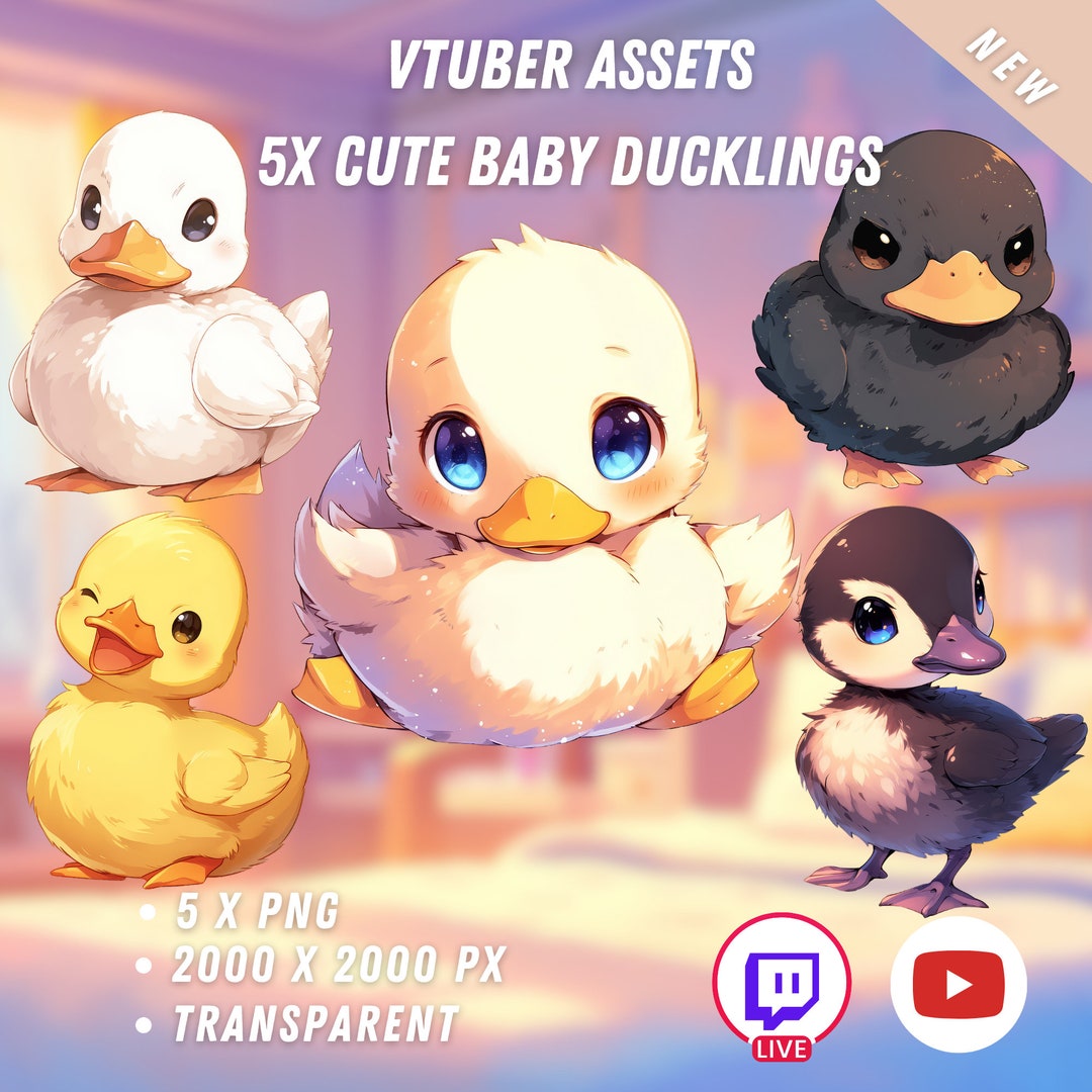 5x VTUBER Baby Ducklings | Fantasy | Kawaii Pets | Cute Duck | 2D ...