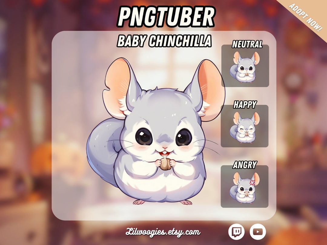 Pngtuber Chinchilla | Chibi | Kawaii | Ready for Twitch | Vtuber Avatar ...