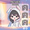 Cute Girl Pngtuber With Emotes Kawaii Ready for Twitch Vtuber Avatar ...