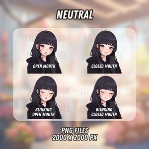 Cute Girl Pngtuber | Black Hair | Kawaii | Ready for Twitch ...