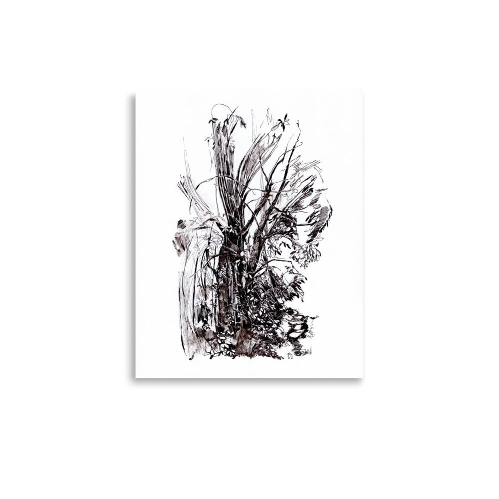 Tree Sketch, One Line Drawing, Art PRINT, Pen and Ink Artwork - Etsy