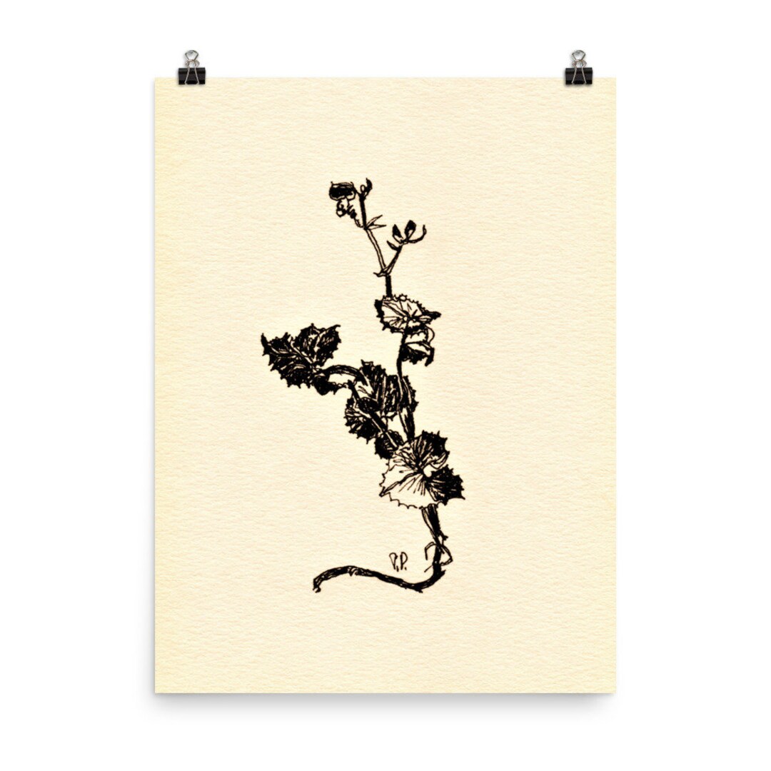 Fine Art Print, Floral Drawing, Wildflower Ink Sketch, Flowers Drawing ...