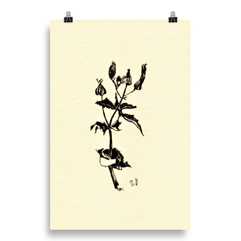 Flower Line Drawing, Fine Art Print, One Line Art Poster, Flower One ...