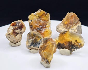 Oregon Fire Opal Self Mined From RO2 in Southern Oregon. Bulk Parcel ...