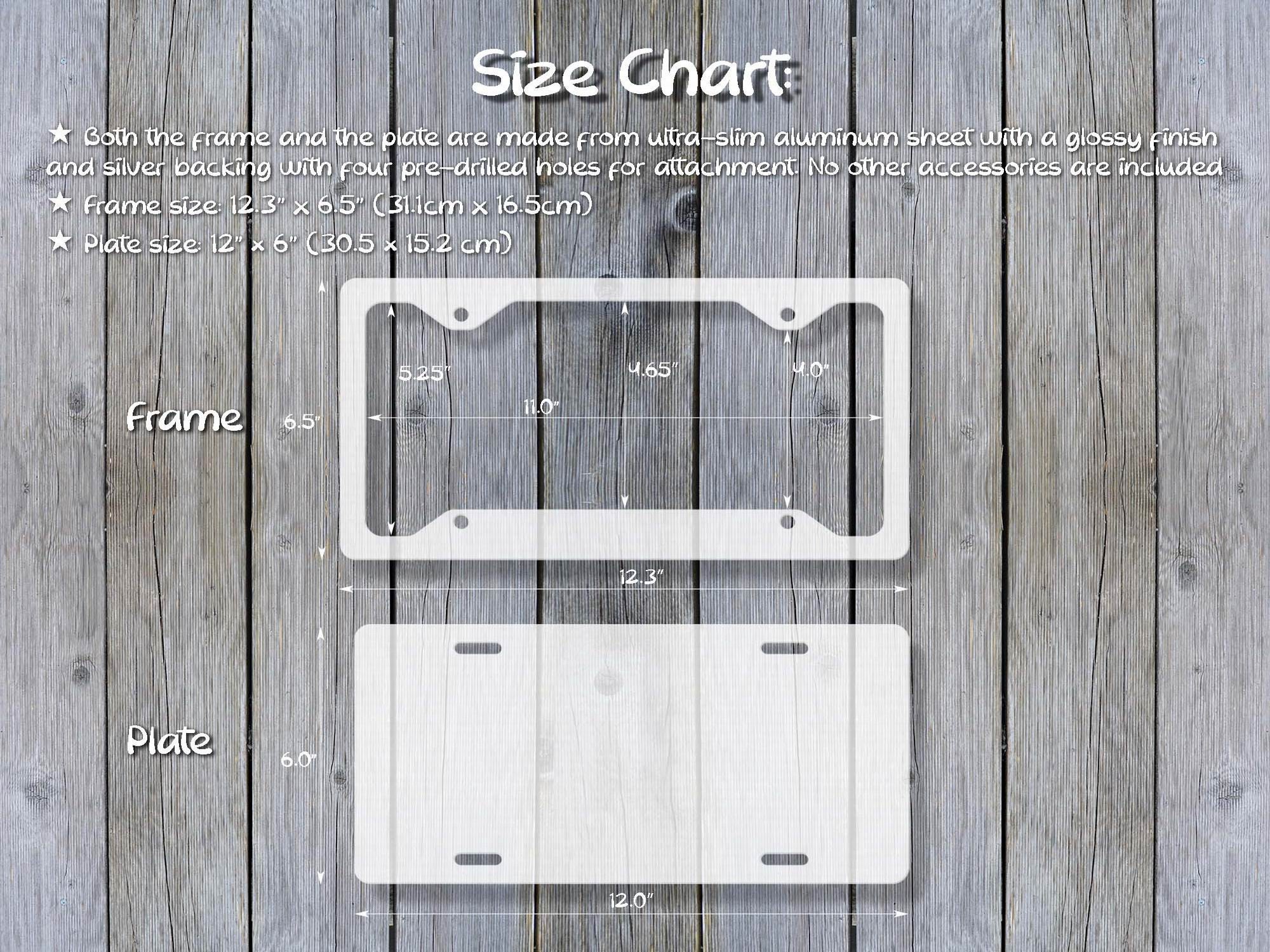 12 Glowing Disco Sequin Glitter License Plates Frames, Personalized ...