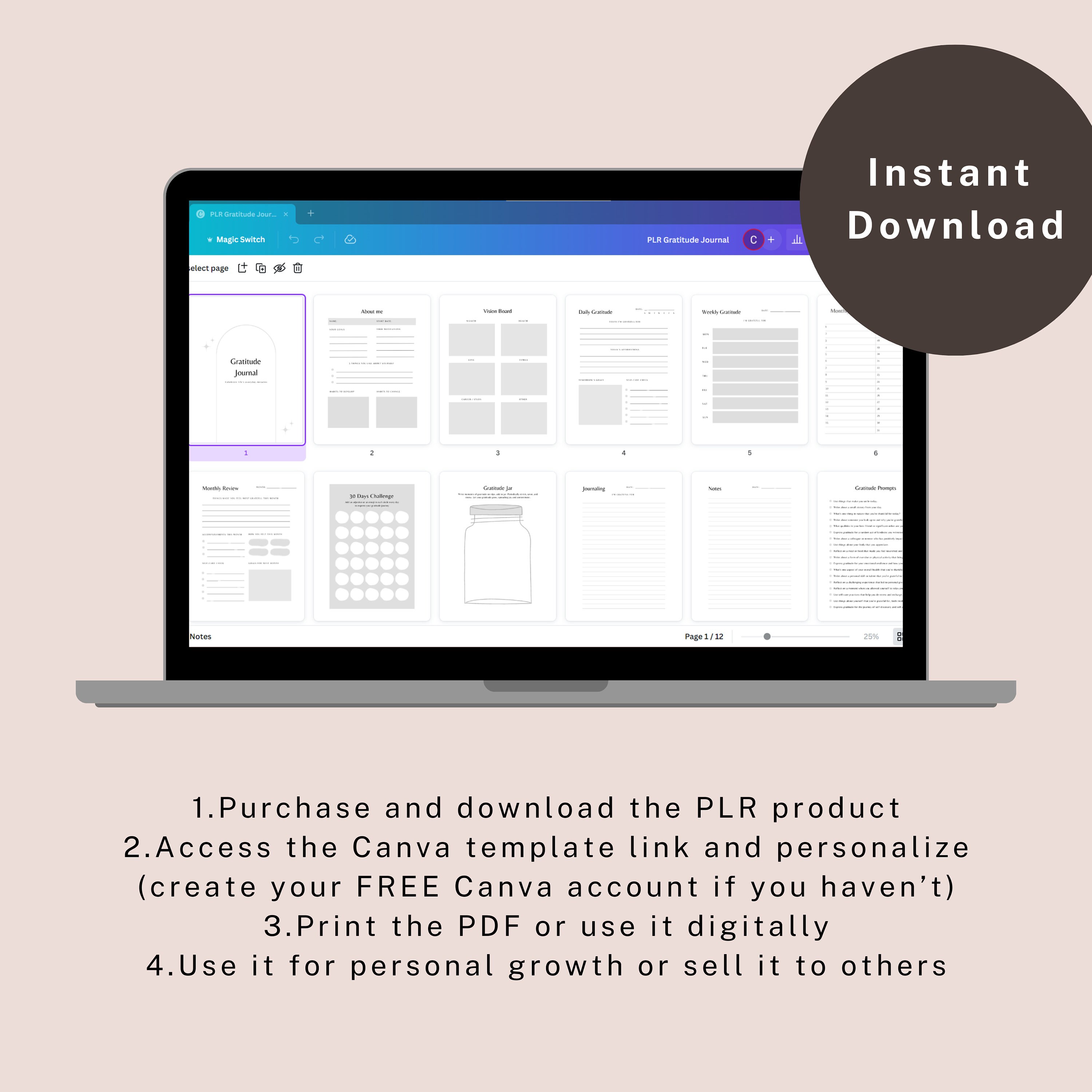 PLR Gratitude Journal | Editable on Canva | Resell Right | Digital ...