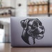 Boxer Head Svg, Eps, Png, Jpg, Dxf, Silhouette, Files for Cricut ...