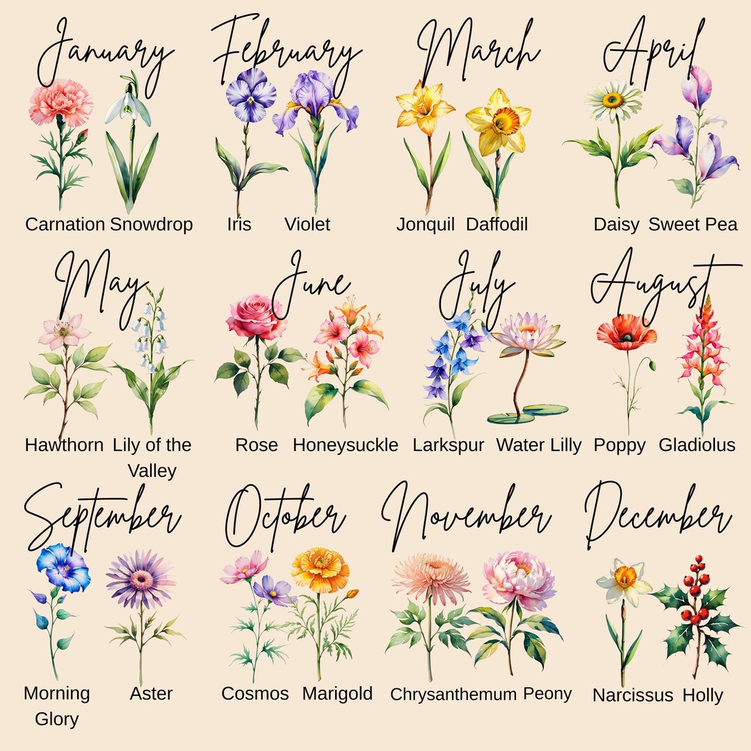 ENTIRE Birth Month Flowers BUNDLE PNG Hand Painted Watercolor Clipart ...