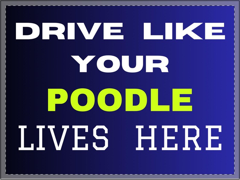 Yard Sign, Slow Down Drivers Warning Sign, Customizable Poodle Pet Sign ...