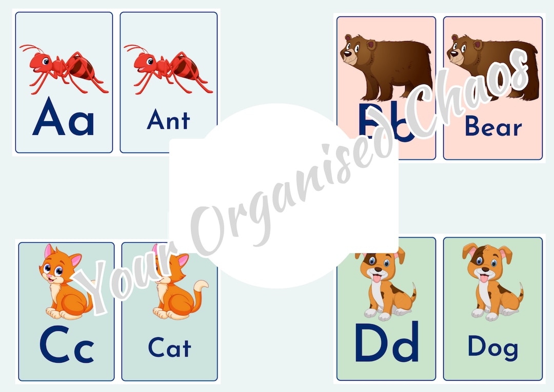ABC Alphabet Flash Card animals - Etsy