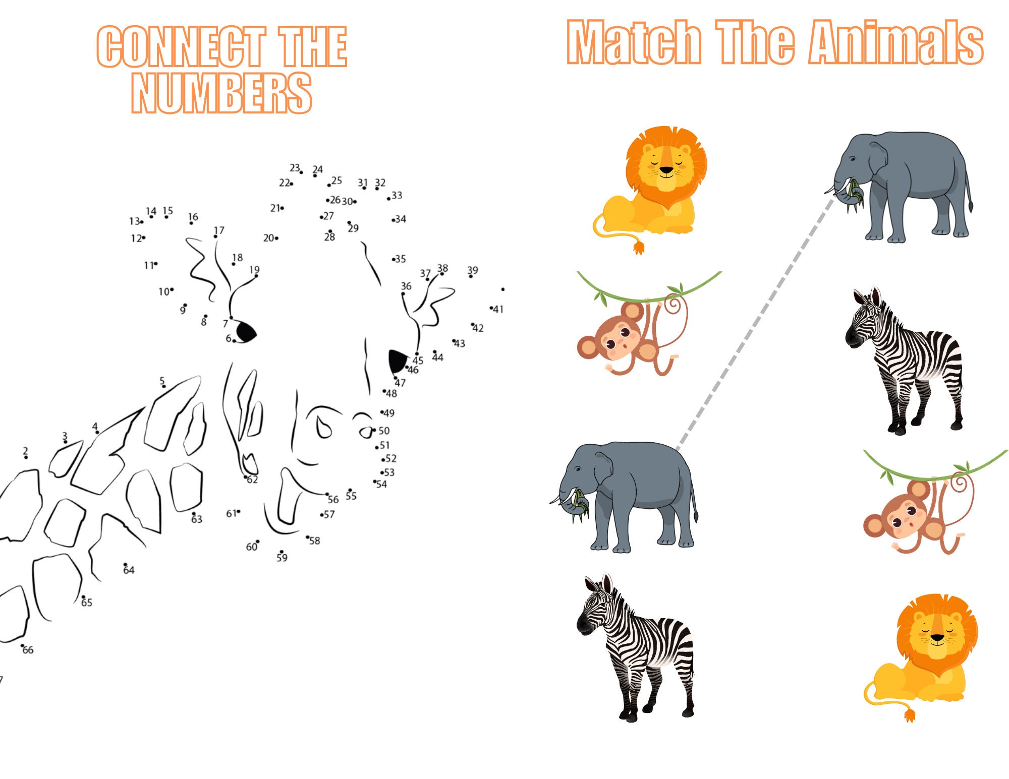 EDITABLE Animals Coloring Book, Jungle Birthday, Safari Zoo Animal ...