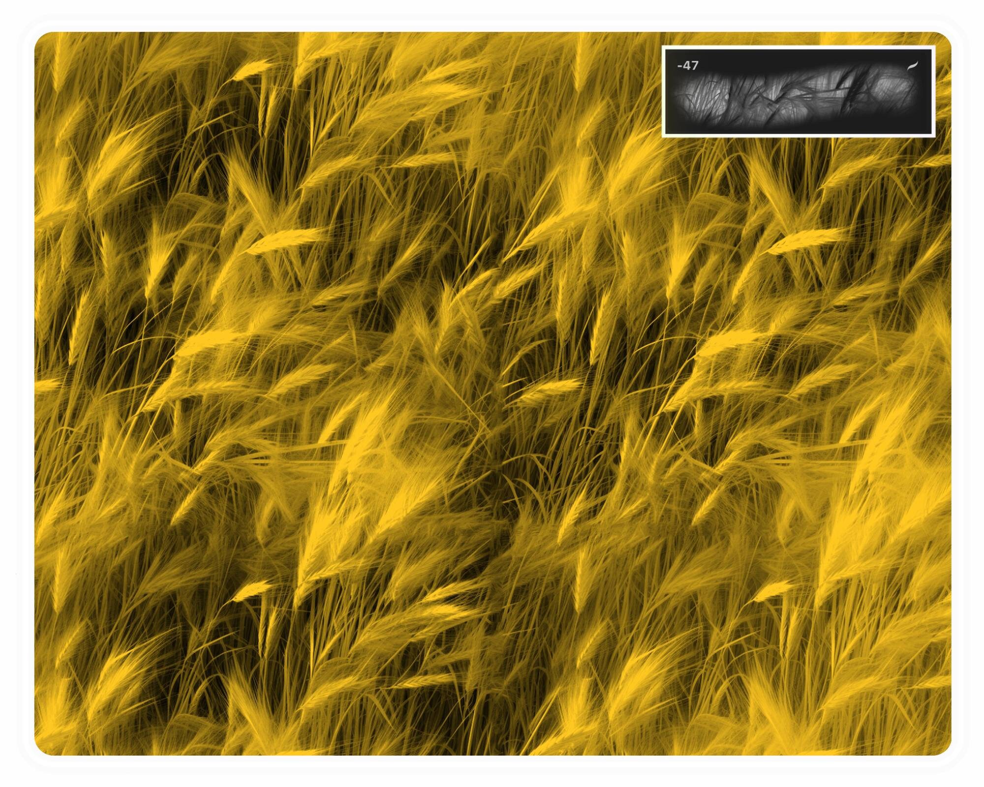100 Procreate Grass Texture Brushes, Seamless Grass Texture for Procreate, Realistic Grass ...