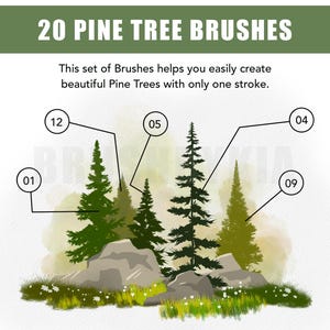 Pine Procreate Brushes, Pine Tree Brush, Tree Brushes, Forest Procreate ...