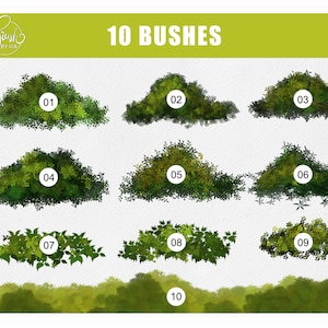 Nature Brush Set Procreate, Procreate Nature Brush, Foliage Brushes ...